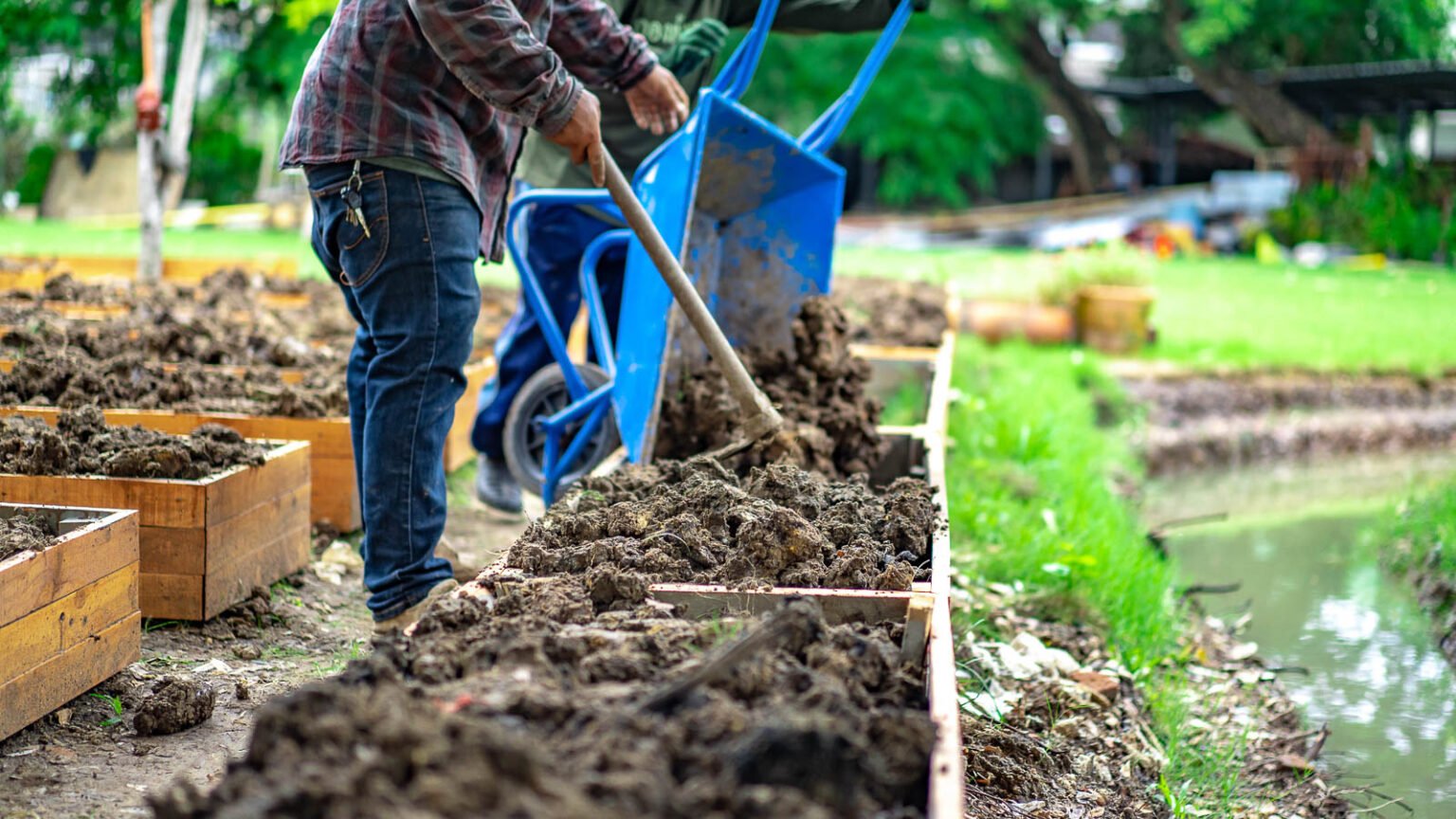 How to Amend and Improve Clay Soil