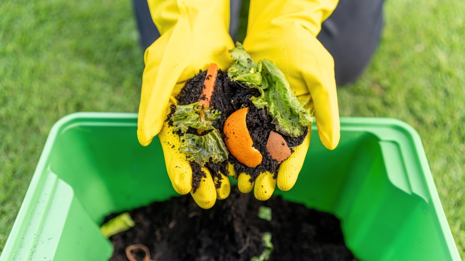 11 Amendments to Add To your Soil in September for a Healthy Garden