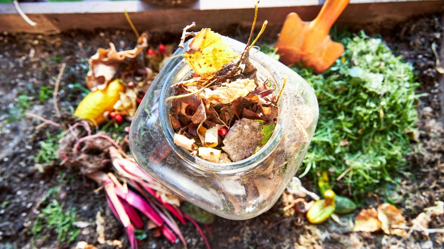 Composting with Kids: 7 Ways to Get Kids Excited About Compost