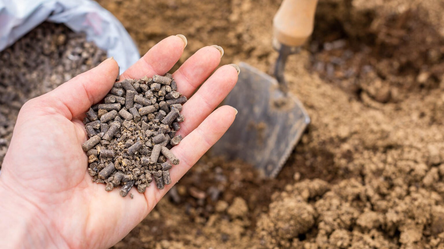 How to Amend and Improve Sandy Soil