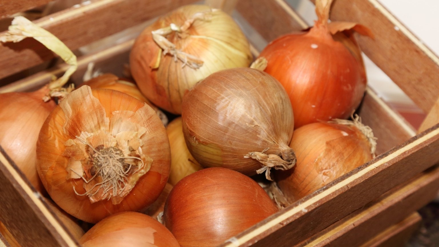 How to Cure and Store Onions in 9 Easy Steps