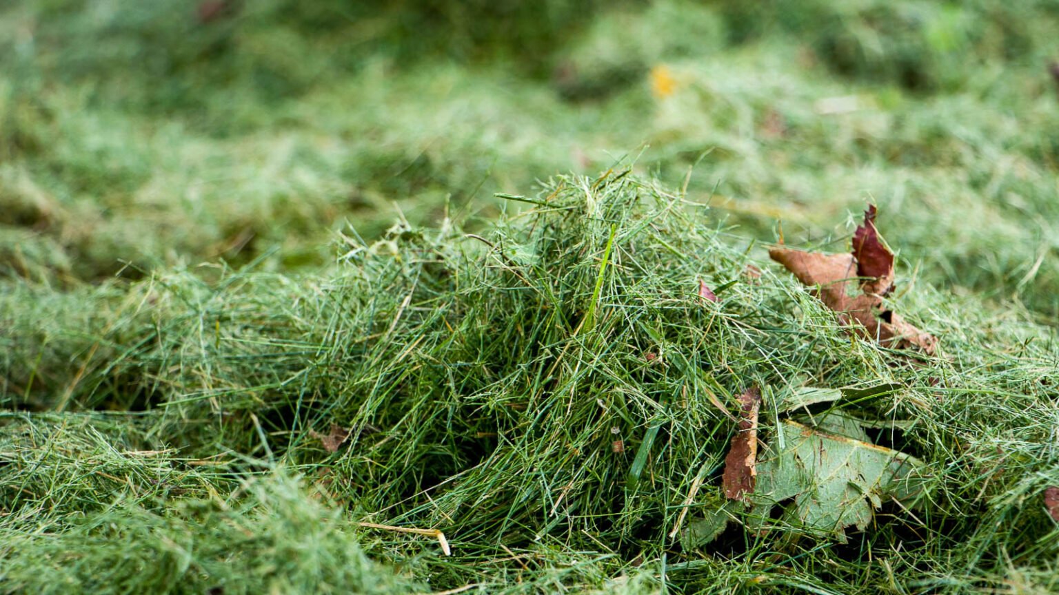 How To Spread Mulch The Right Way
