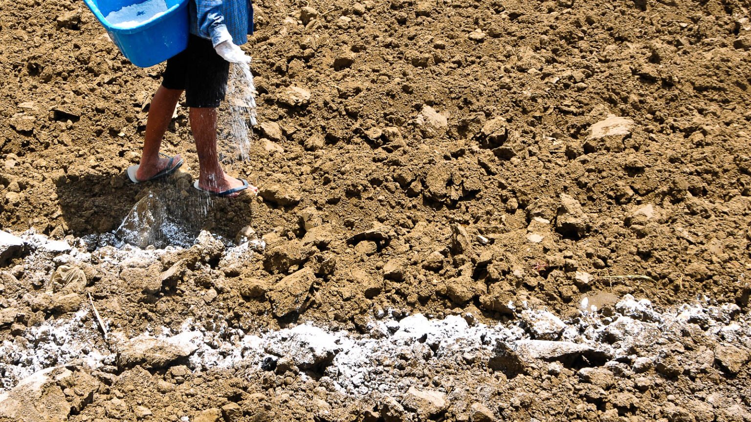 How to Amend and Improve Clay Soil