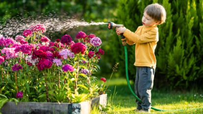 Planting a Pollinator Garden With Kids: 5 Pro Tips