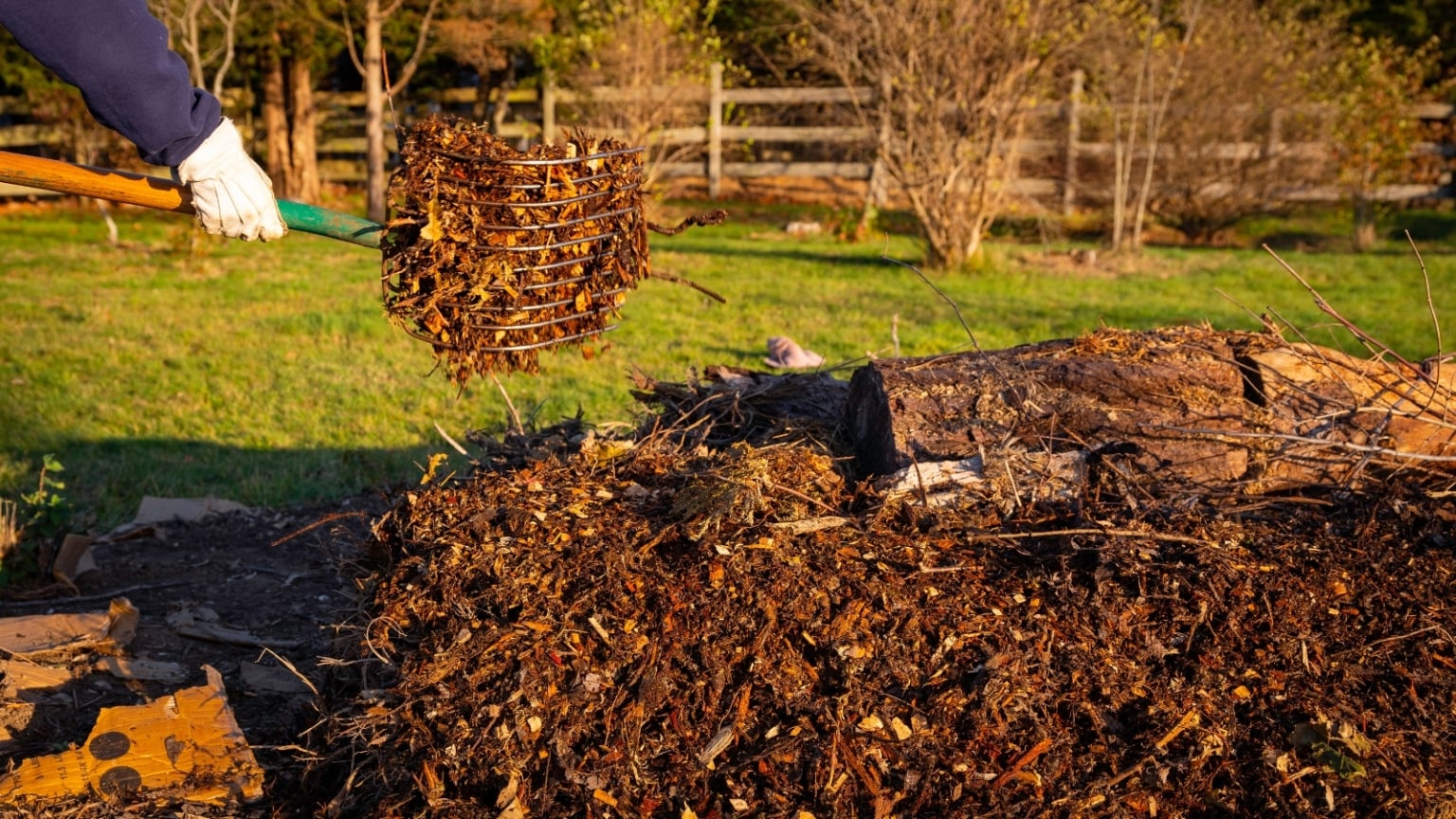 How to Make and Use Leaf Mold