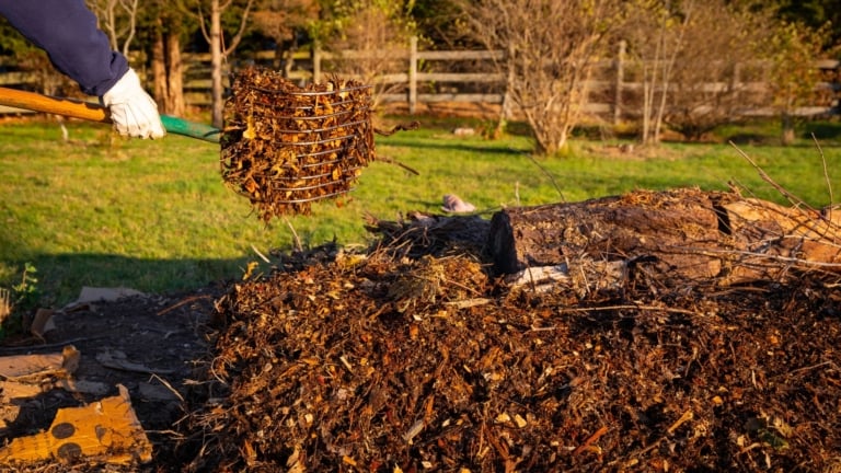 How to Make and Use Leaf Mold