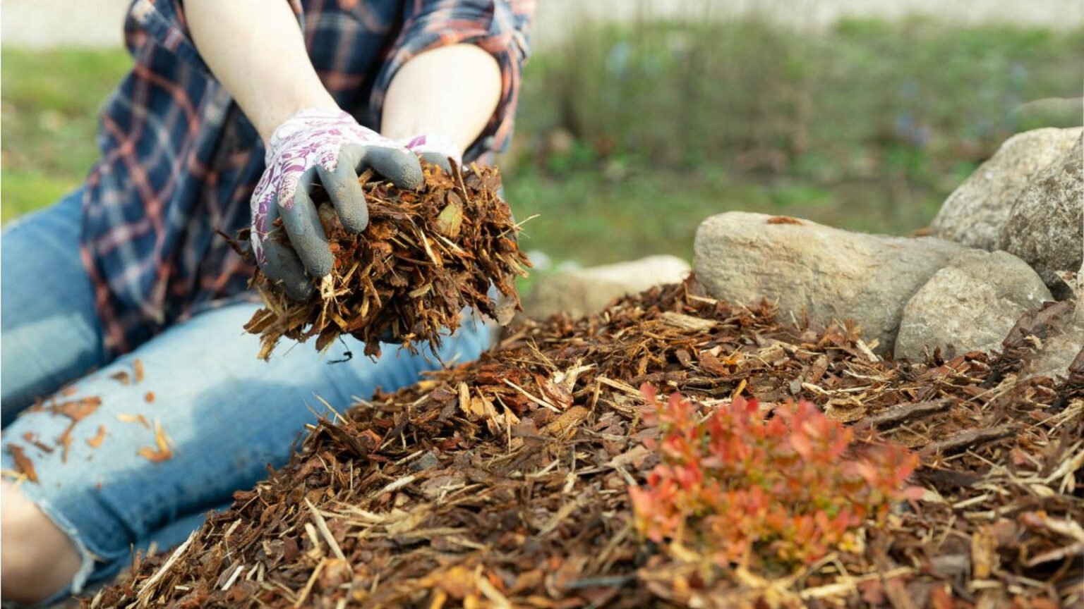 How To Spread Mulch The Right Way