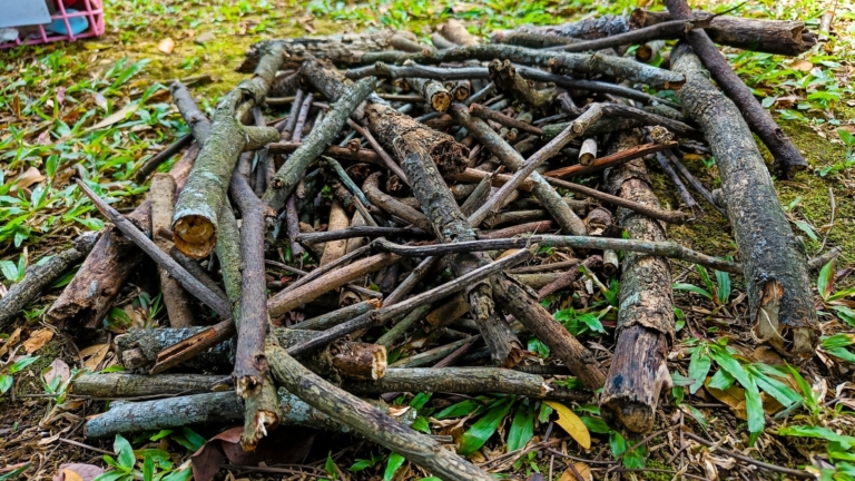 9 Types of Garden Debris to Add to the Compost Pile