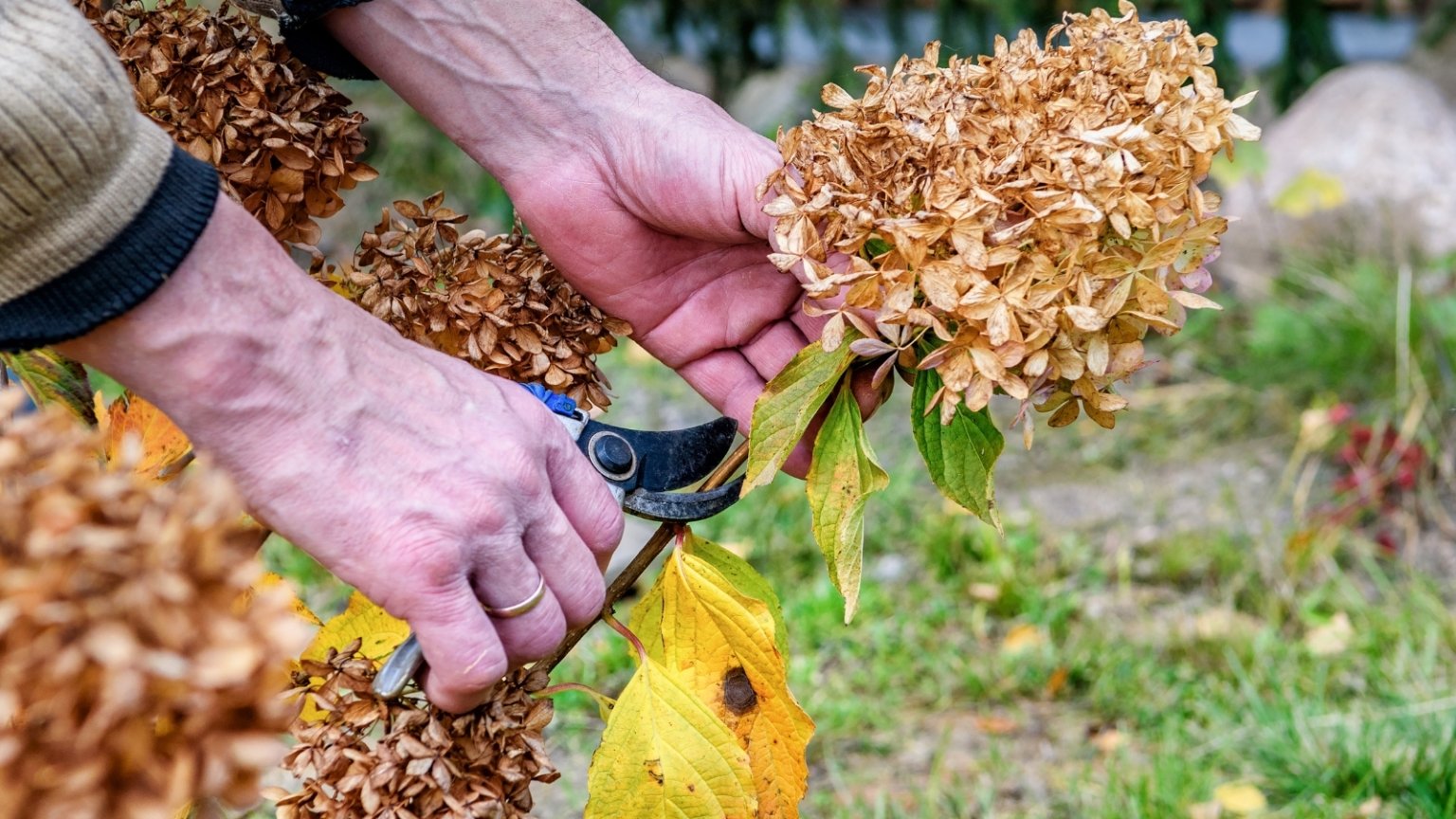 Don't Make These 11 Fall-Gardening Mistakes This Year