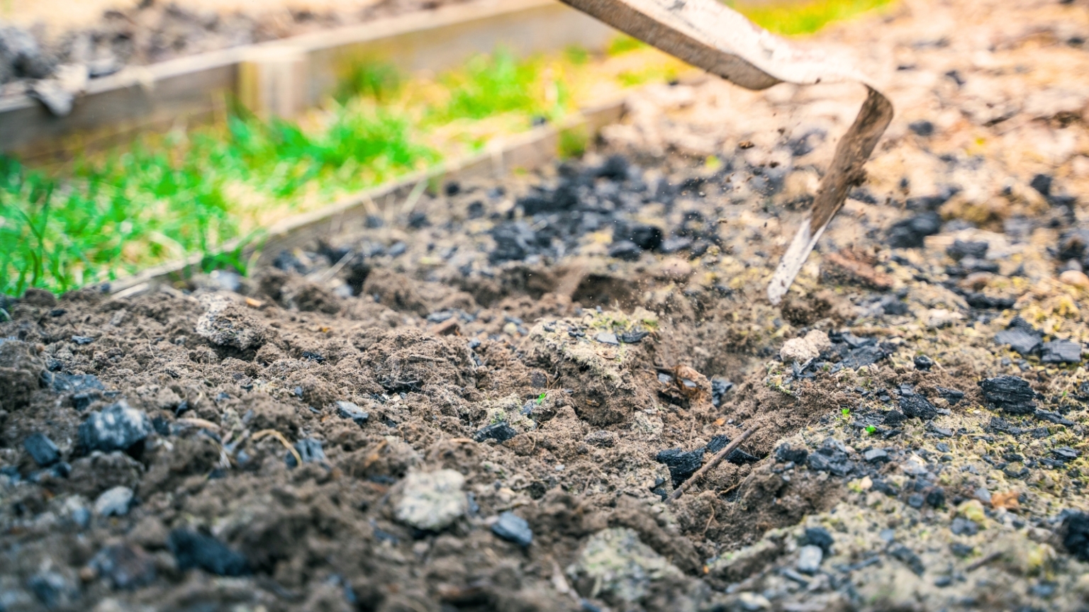 11 Amendments to Add To your Soil in September for a Healthy Garden