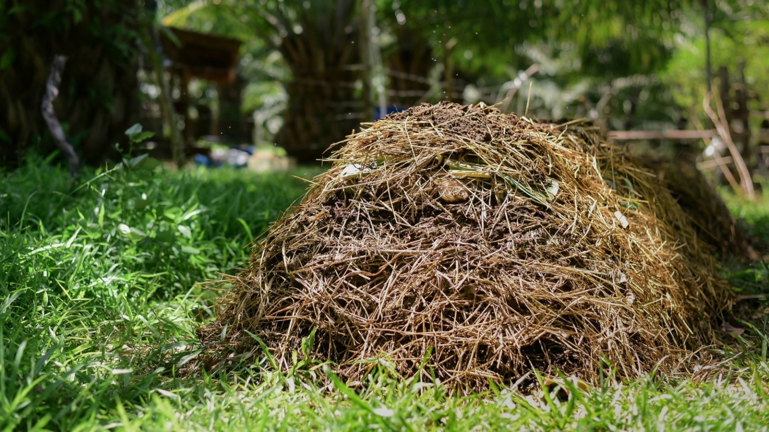 How to Use Straw Mulch in Your Garden