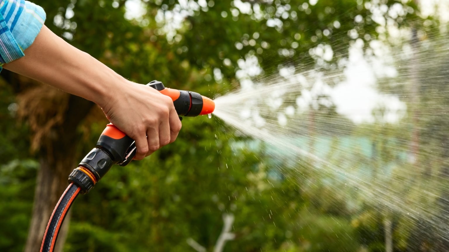 A Comprehensive Guide to Gardening in Humid Climates