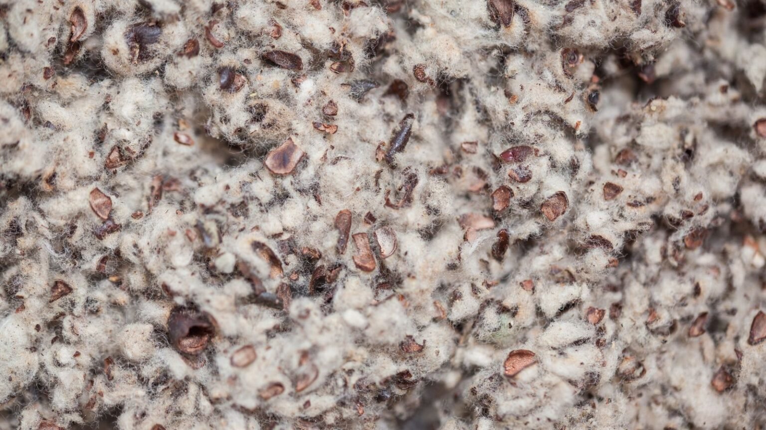 Cottonseed Meal Fertilizer Pros and Cons