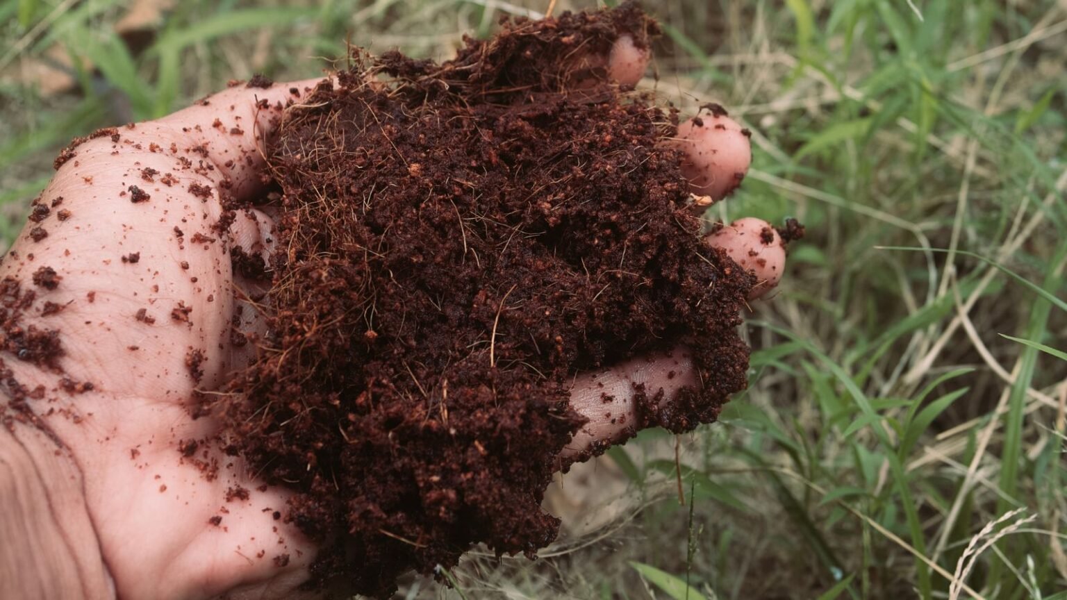 What is Coco Coir and How to Use it