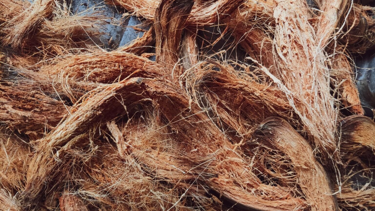 What is Coco Coir and How to Use it