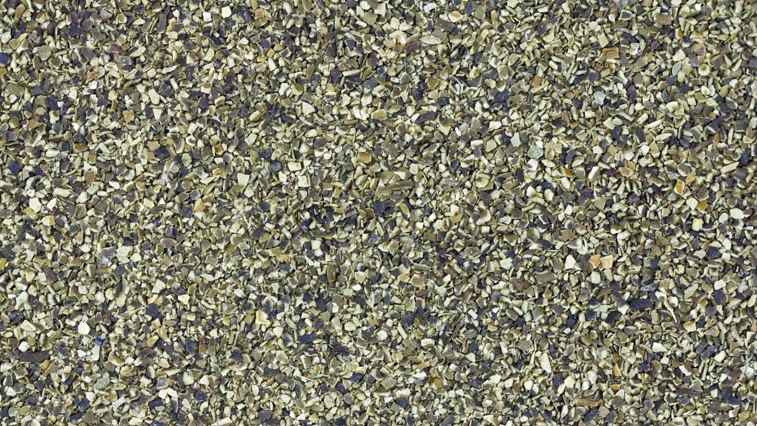 How to Make and Use Seaweed Fertilizer