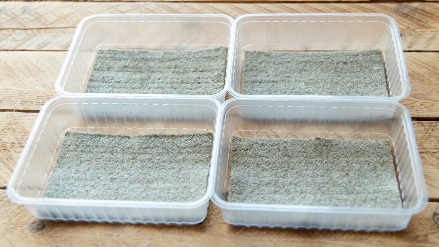 How to Grow Watercress Indoors: 17 Simple Steps