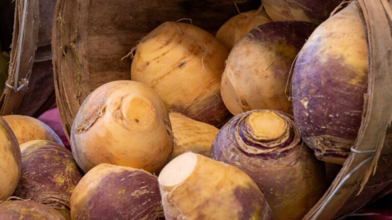 How to Plant, Grow, and Care for Rutabaga