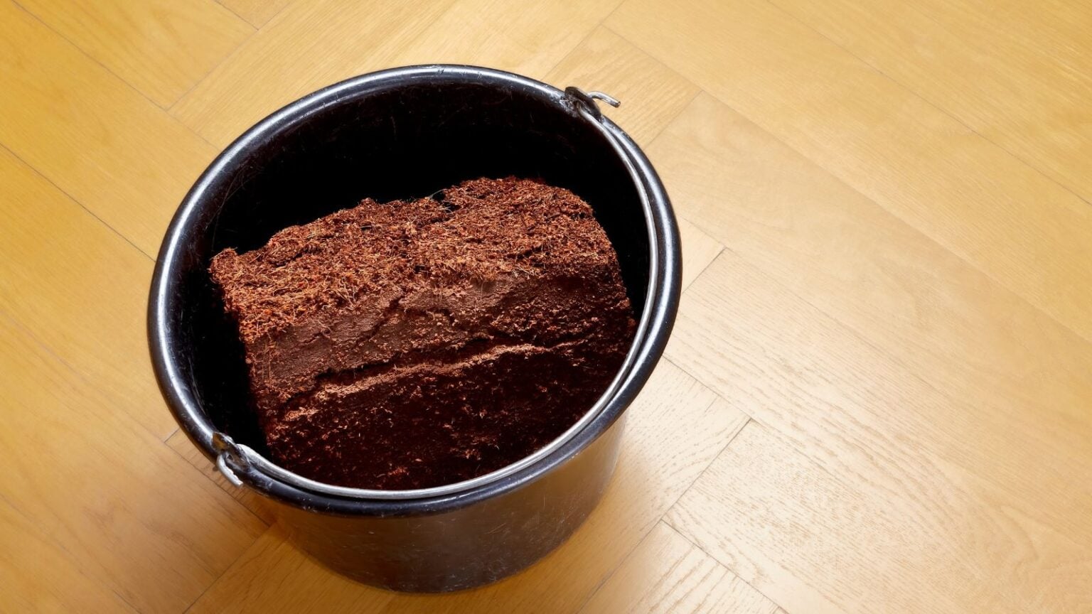 What is Coco Coir and How to Use it