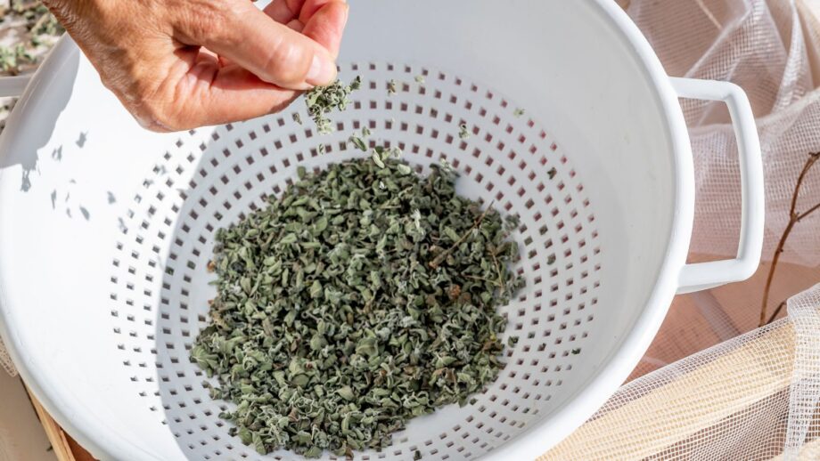How to Dry Fresh Oregano: 7 Methods to Try