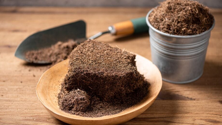 What is Coco Coir and How to Use it
