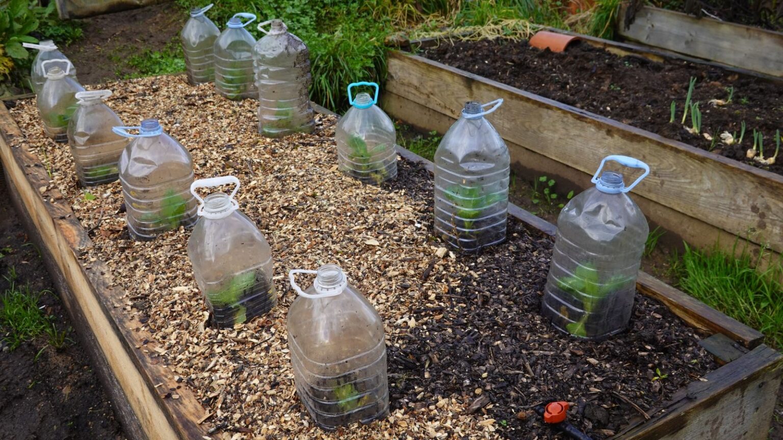 9 Smart Ways to Protect Your Tender Crops From Frost