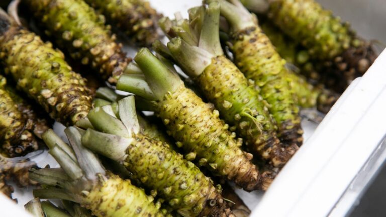 How To Plant, Grow, and Care for Wasabi