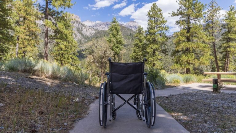 How to Design a Wheelchair-Accessible Garden Path