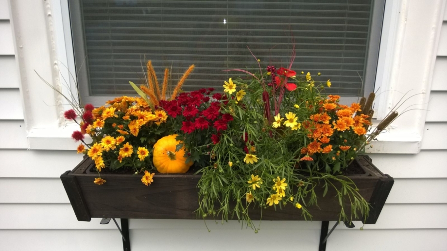 How to Plant The Perfect Fall Container Garden