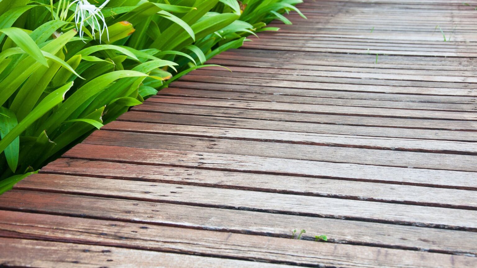 How to Design a Wheelchair-Accessible Garden Path