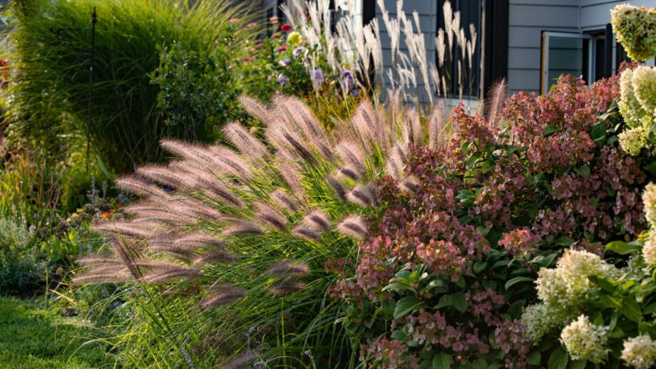 13 Gorgeous Garden Design Ideas Featuring Burgundy Plants
