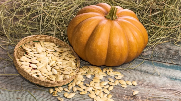 How to Save Pumpkin Seeds for Next Year: 7 Pro-Tips