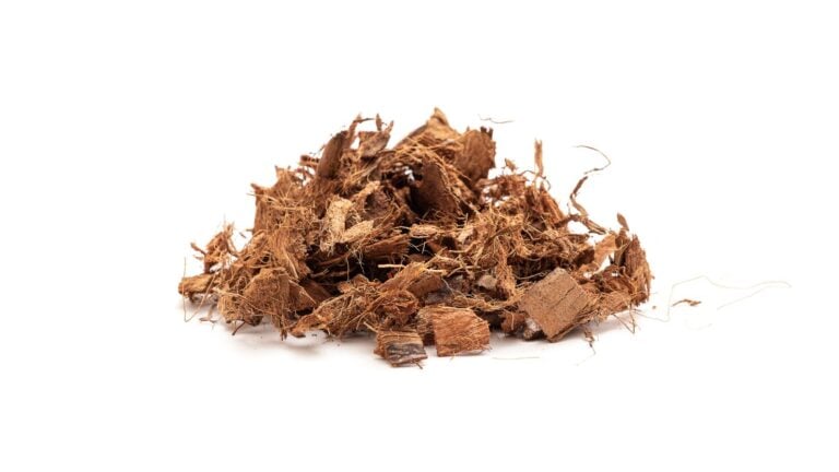 What is Coco Coir and How to Use it
