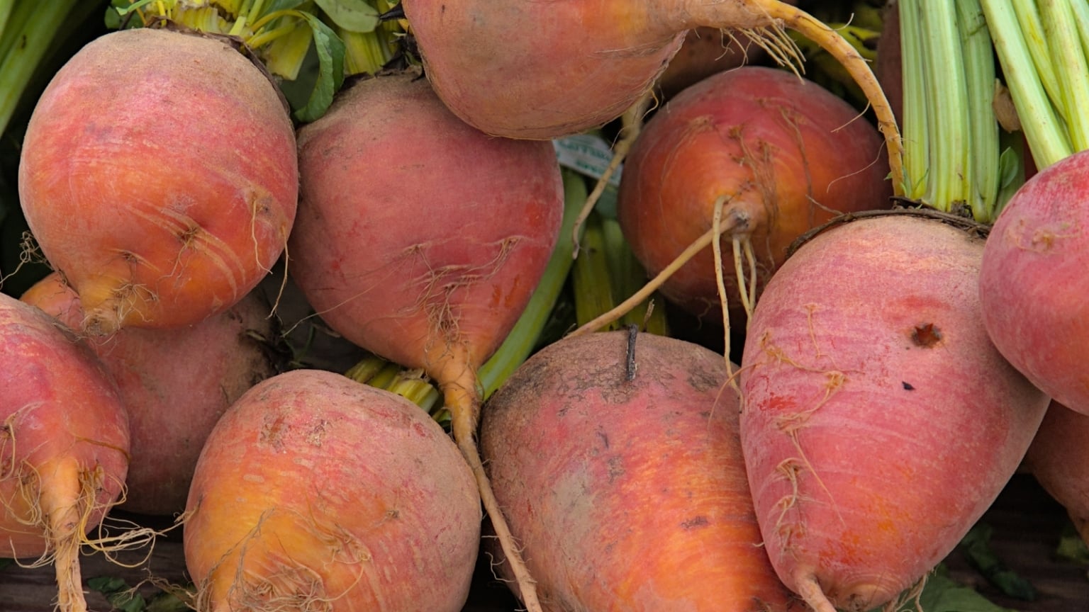 Growing Beets: How To Get Big Beetroot Harvests - Epic Gardening