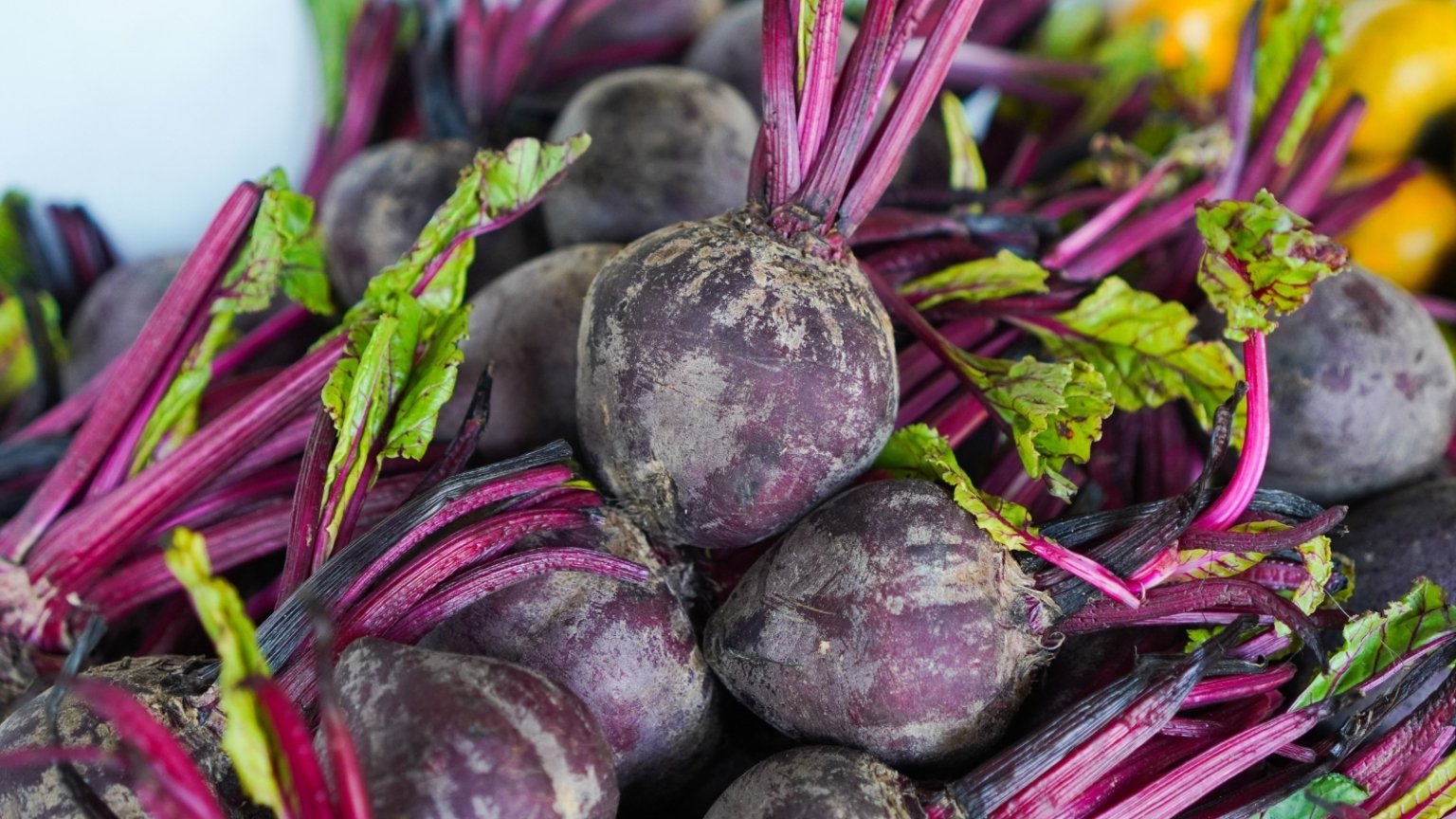When to Harvest Beets for The Best Flavor