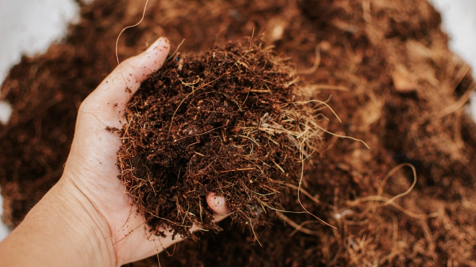 What is Coco Coir and How to Use it