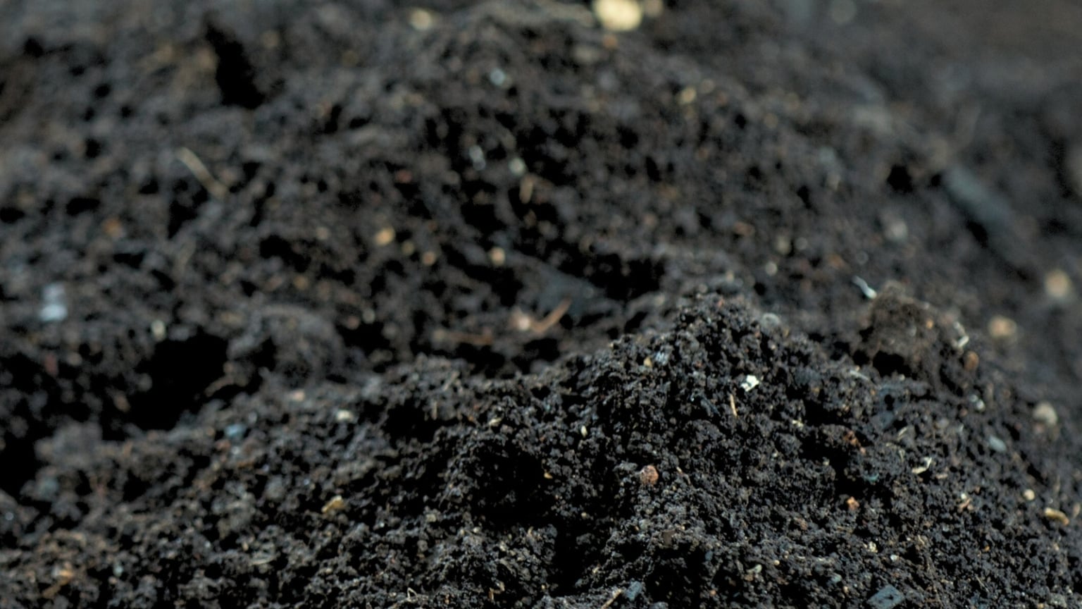 13 Fall Soil Improvements You Can Apply Now