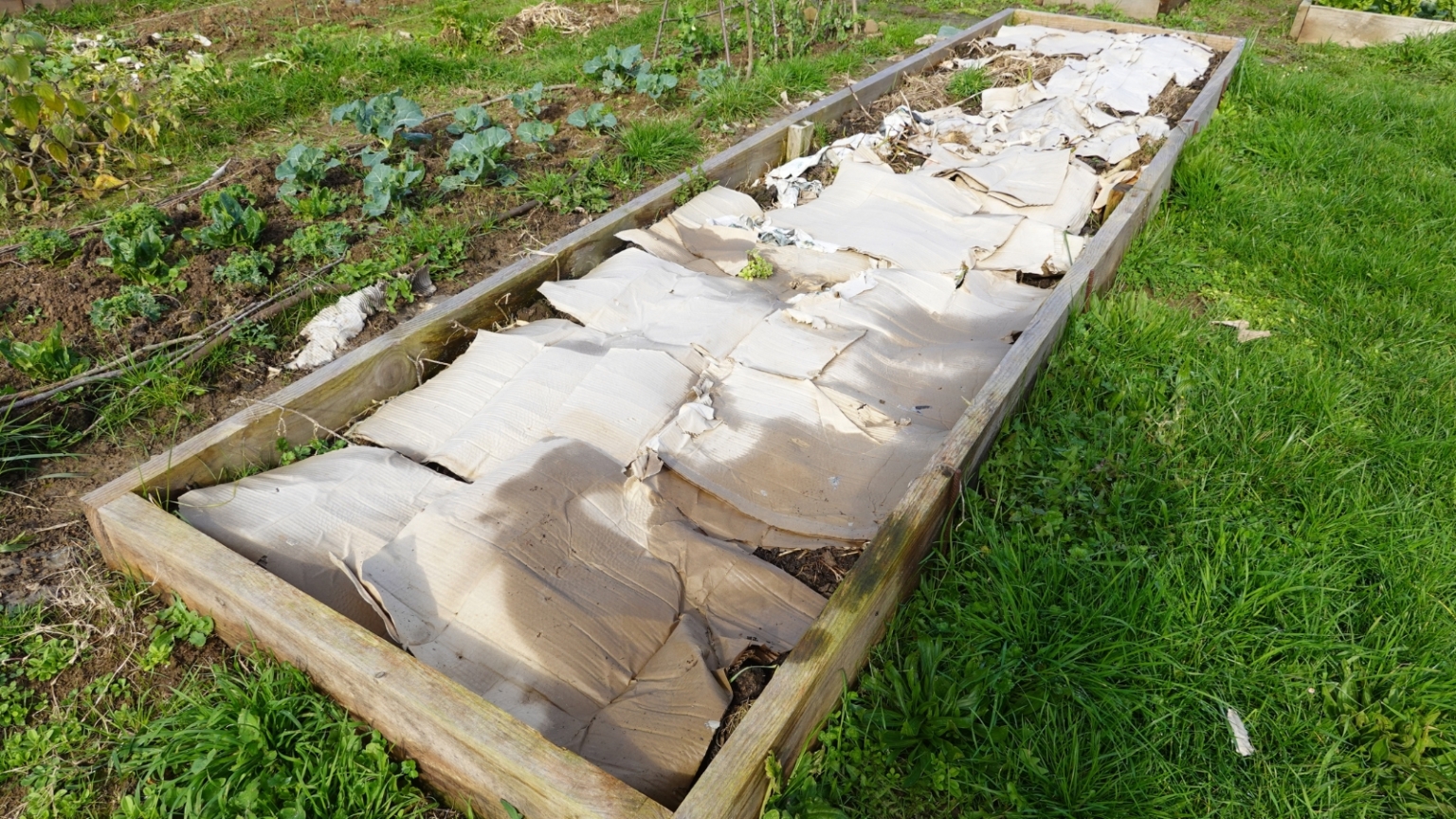 How to Use Floating Row Covers for Temperature and Pest Control