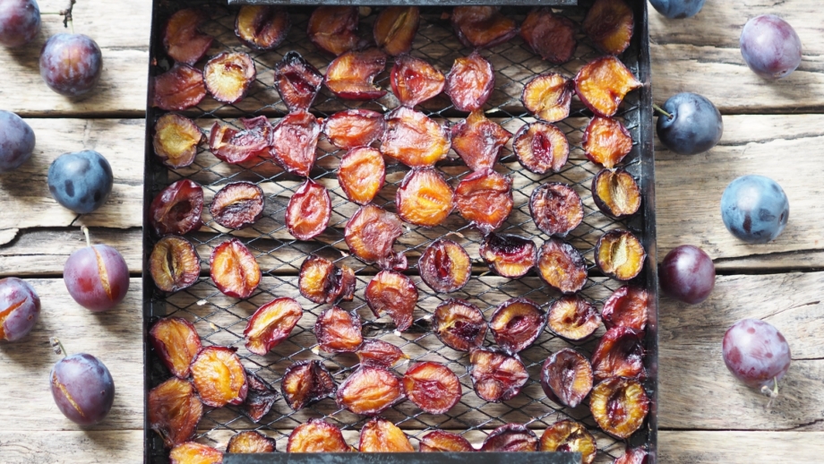 How and When to Harvest Plums for The Sweetest Fruit