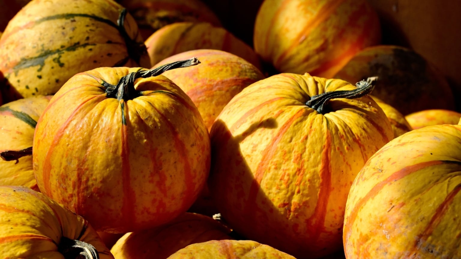 15 Unique and Rare Pumpkin Varieties to Look For This Year