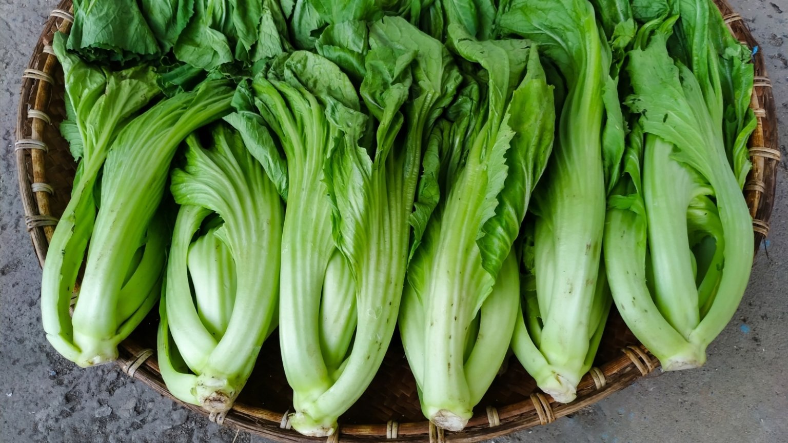 13 Asian Greens You Should Plant This Season