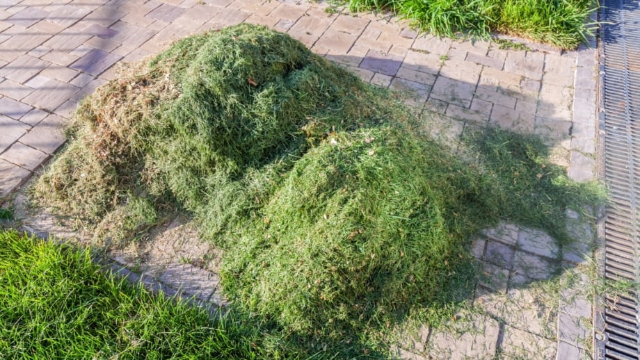 How to Use Grass Clippings In the Garden