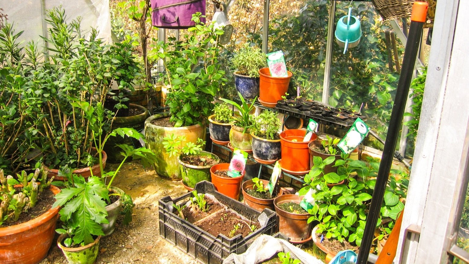 9 Clever Ways to Insulate Your Potted Plants in Cold Weather