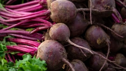 When to Harvest Beets for The Best Flavor