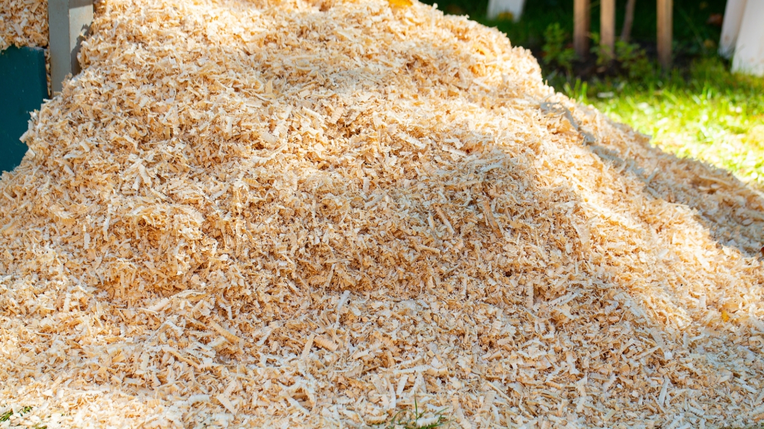 13 Fall Soil Improvements You Can Apply Now