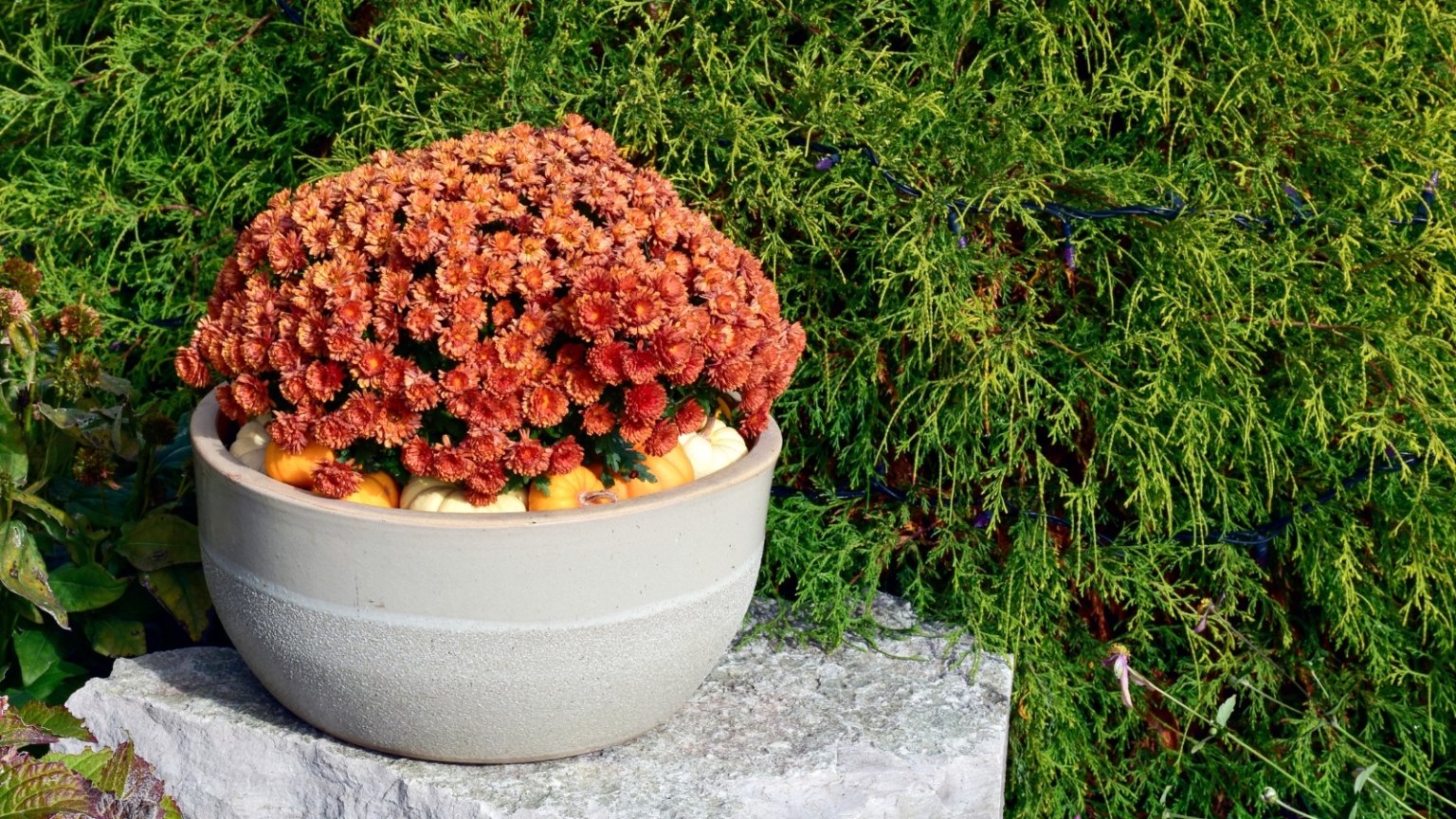 15 Easy Thanksgiving Container Designs Anyone Can Put Together