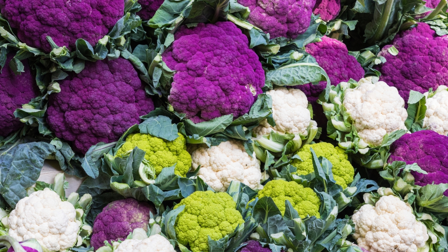 Cultivar, Variety, Species, Genus: Botanical Terms Explained