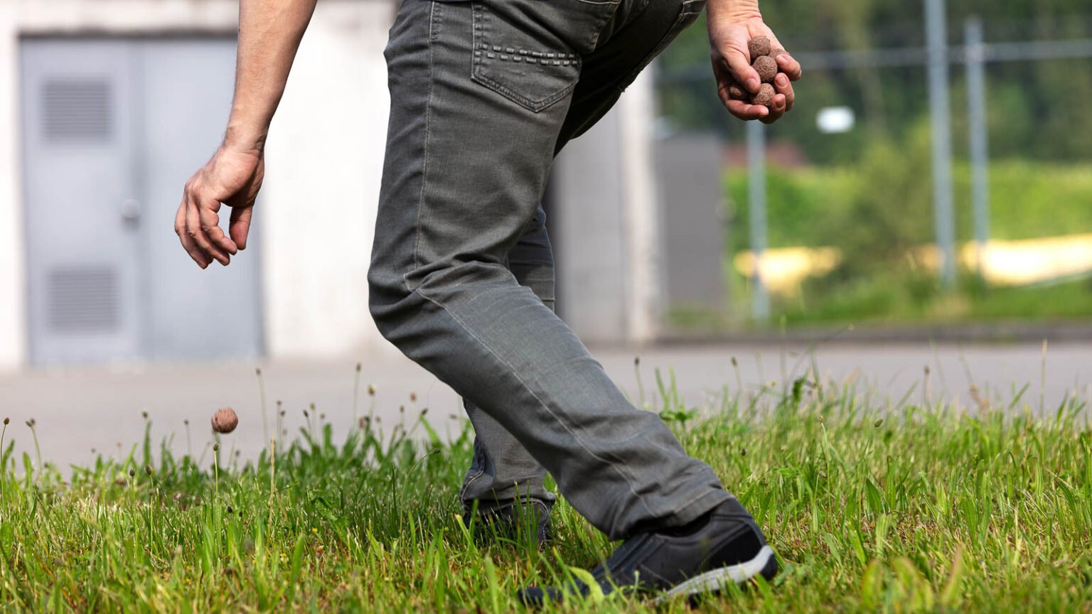 How To Make Seed Bombs: 3 Different Methods