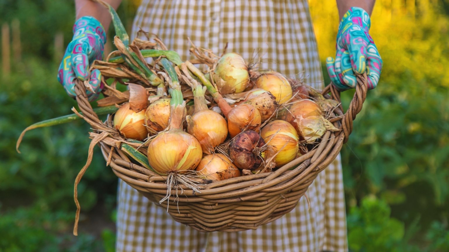 20 Best Crops For A Survival Garden