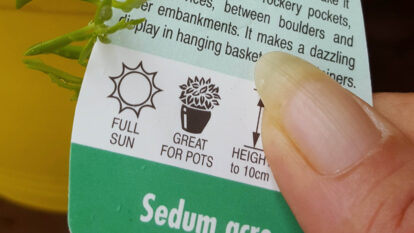 DIY Plant Markers: How to Label Your Plants Effectively